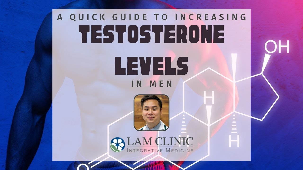 A Quick Guide To Increasing Testosterone Levels In Men YouTube a-quick-guide-to-increasing-testosterone-levels-in-men-youtube
