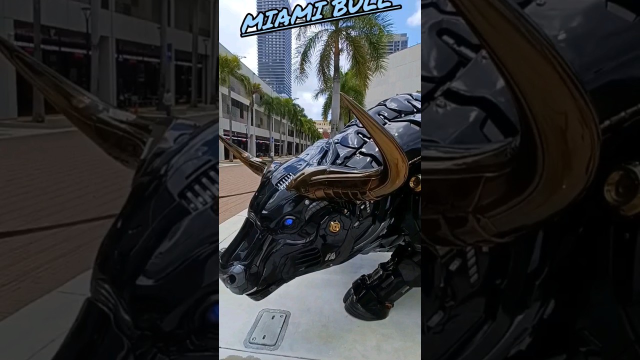 Another Miami tourist attraction, Miami Bull - YouTube