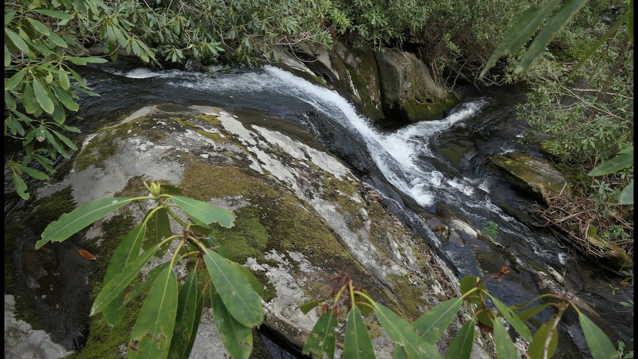 CHEROKEE NATIONAL FOREST BACKPACK: BEECH GAP ON CHEROHALA SKYWAY TO ...