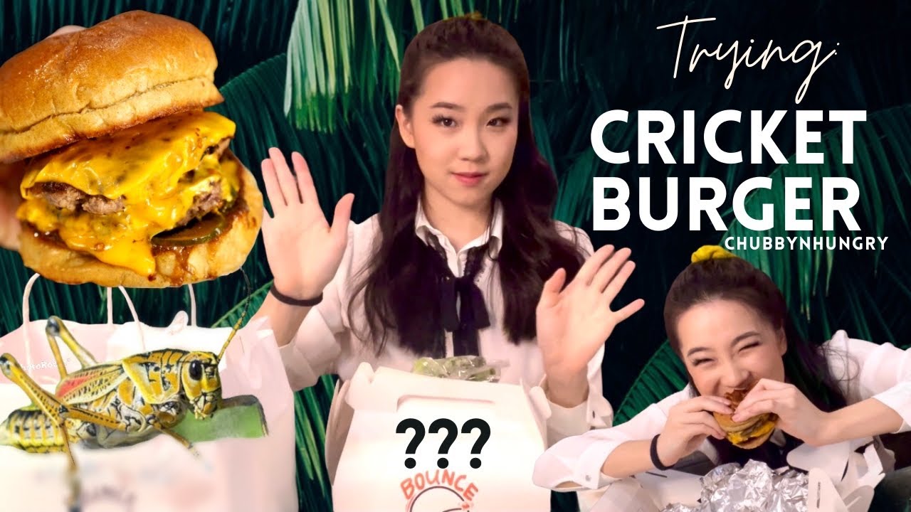 Eating CRICKET (INSECT) BURGER from Bounce Burger! - YouTube