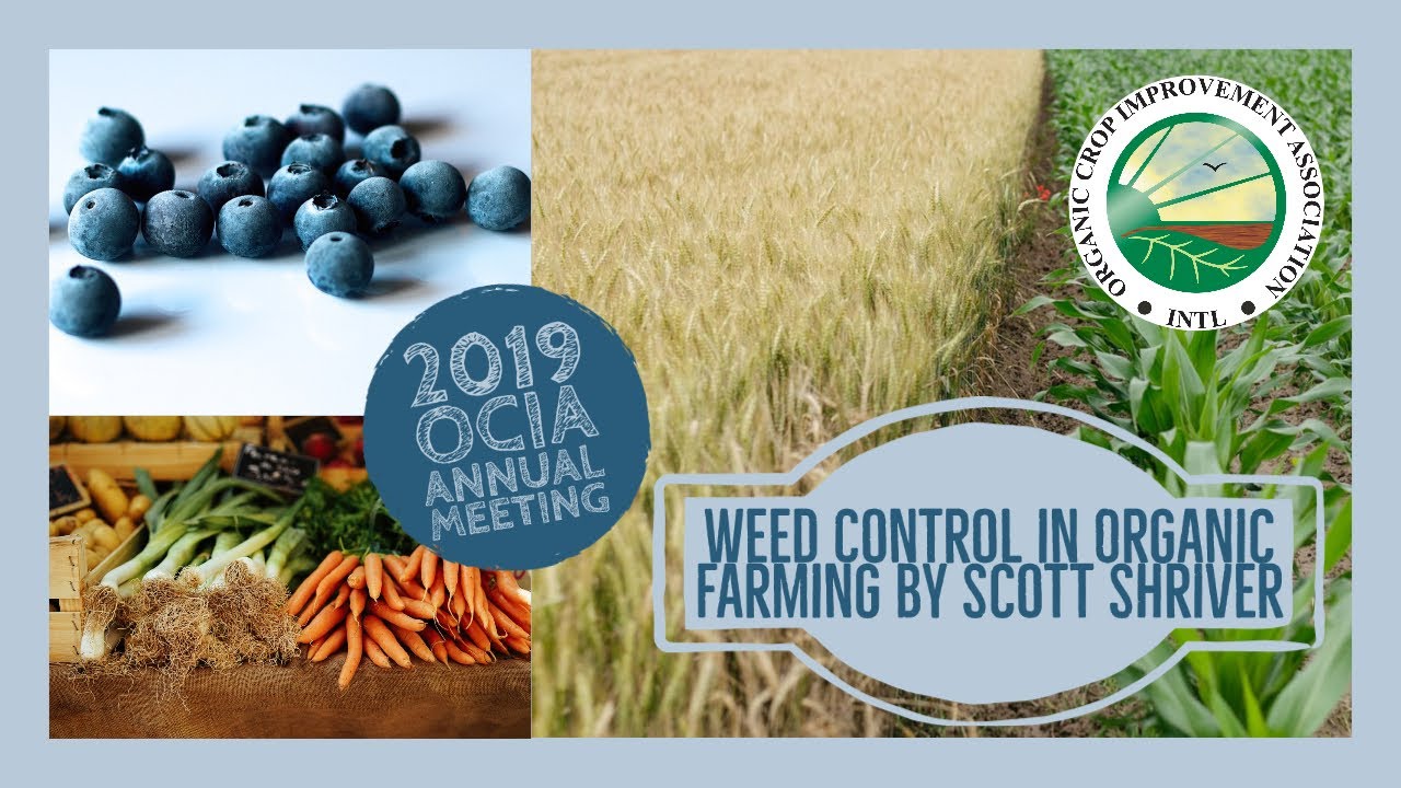Organic Weed Control by Scott Shriver - YouTube