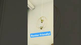 How to: HANGING PLANTER 🌿 renter friendly, no tools, no drilling, easy to hang #shorts
