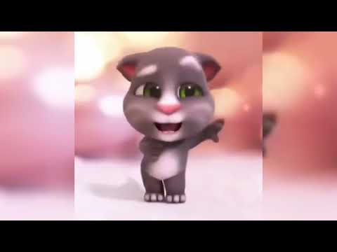 💙 Tik Tok Talking Tom | Baby Tom Dance