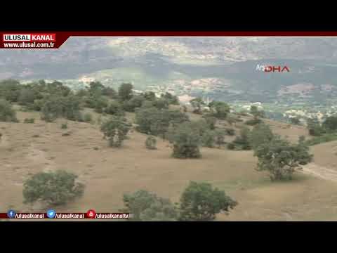PKK'dan kaçıp jandarmaya sığındılar