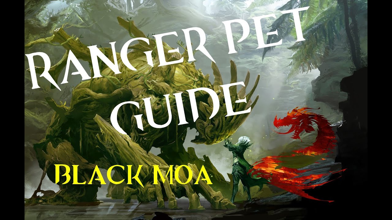 Guild Wars 2 - Black Moa // Ranger Pet Guide - YouTube