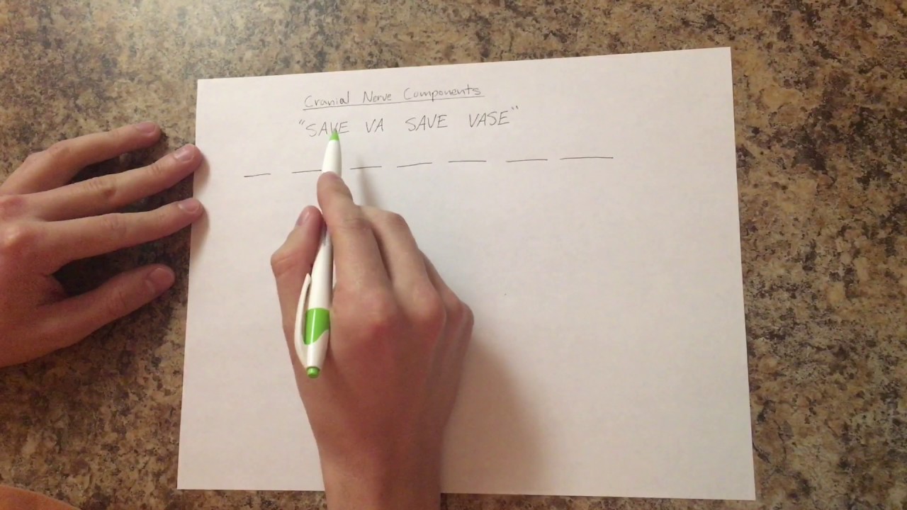 Cranial Nerve Components Mnemonic - Master Them in Under 2 Minutes ...