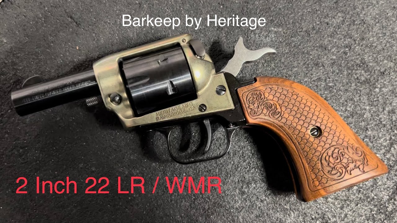 Dedicated 22 Plinker🤩 - Shorty Barkeep 2 Inch by Heritage 22LR/WMR # ...