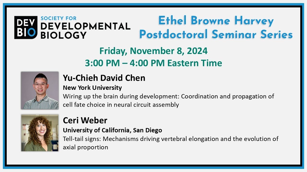 SDB Ethel Browne Harvey Postdoctoral Seminar Series - Yu-Chieh David Chen and Ceri Weber - YouTube