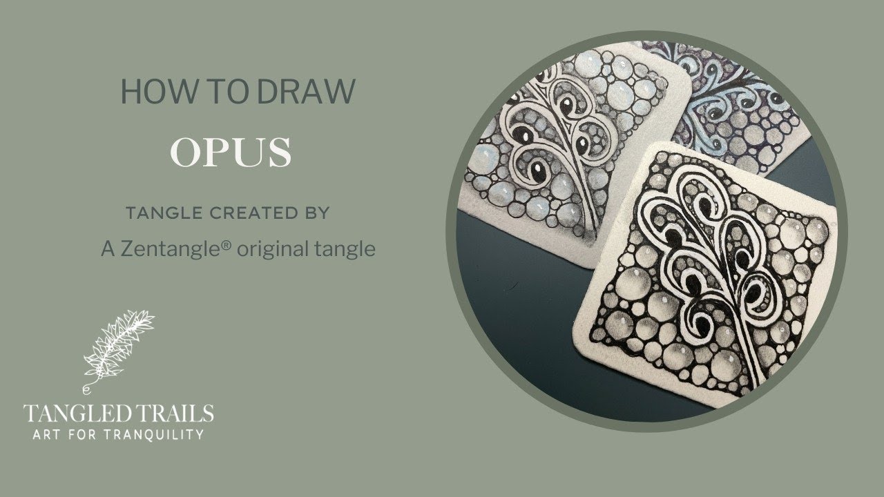 How to draw tangle pattern Opus for beginner Zentangle artists HD 1080p ...
