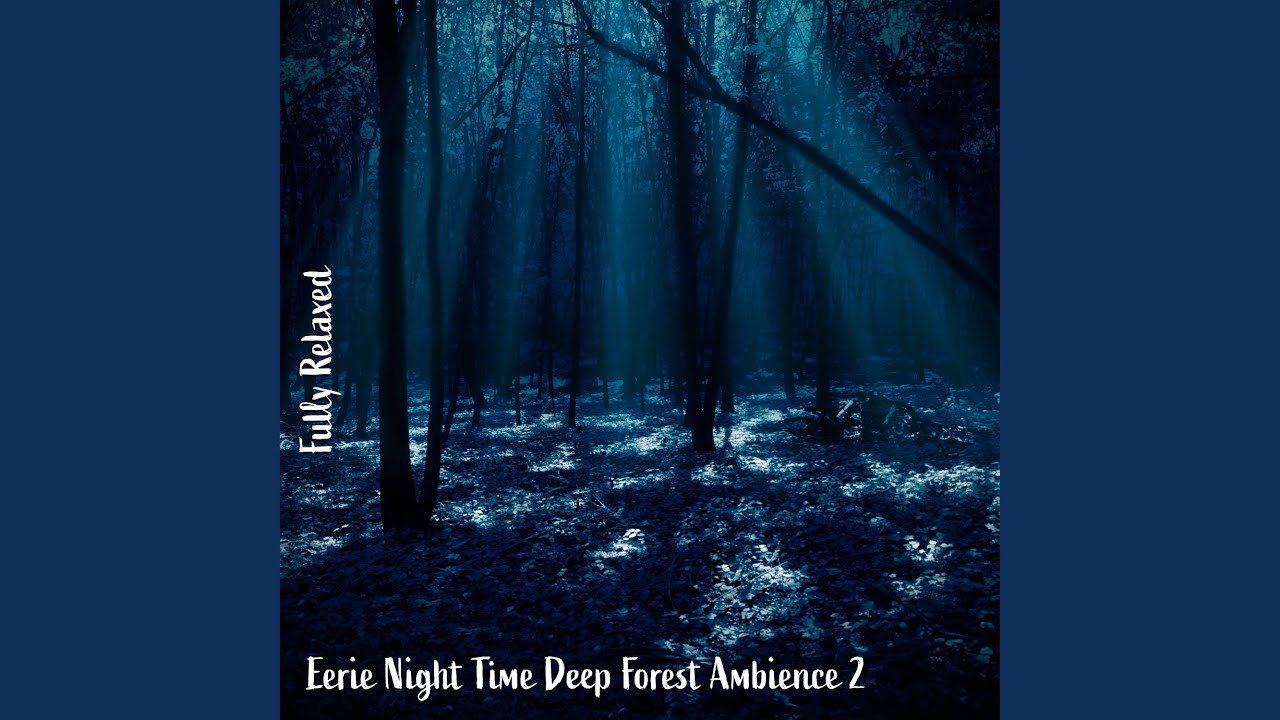 Eerie Night Time Deep Forest Ambience, Pt. 5 - YouTube