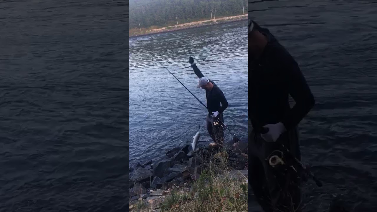 CATCHING BLUE FISH ON CAPE COD CANAL - YouTube
