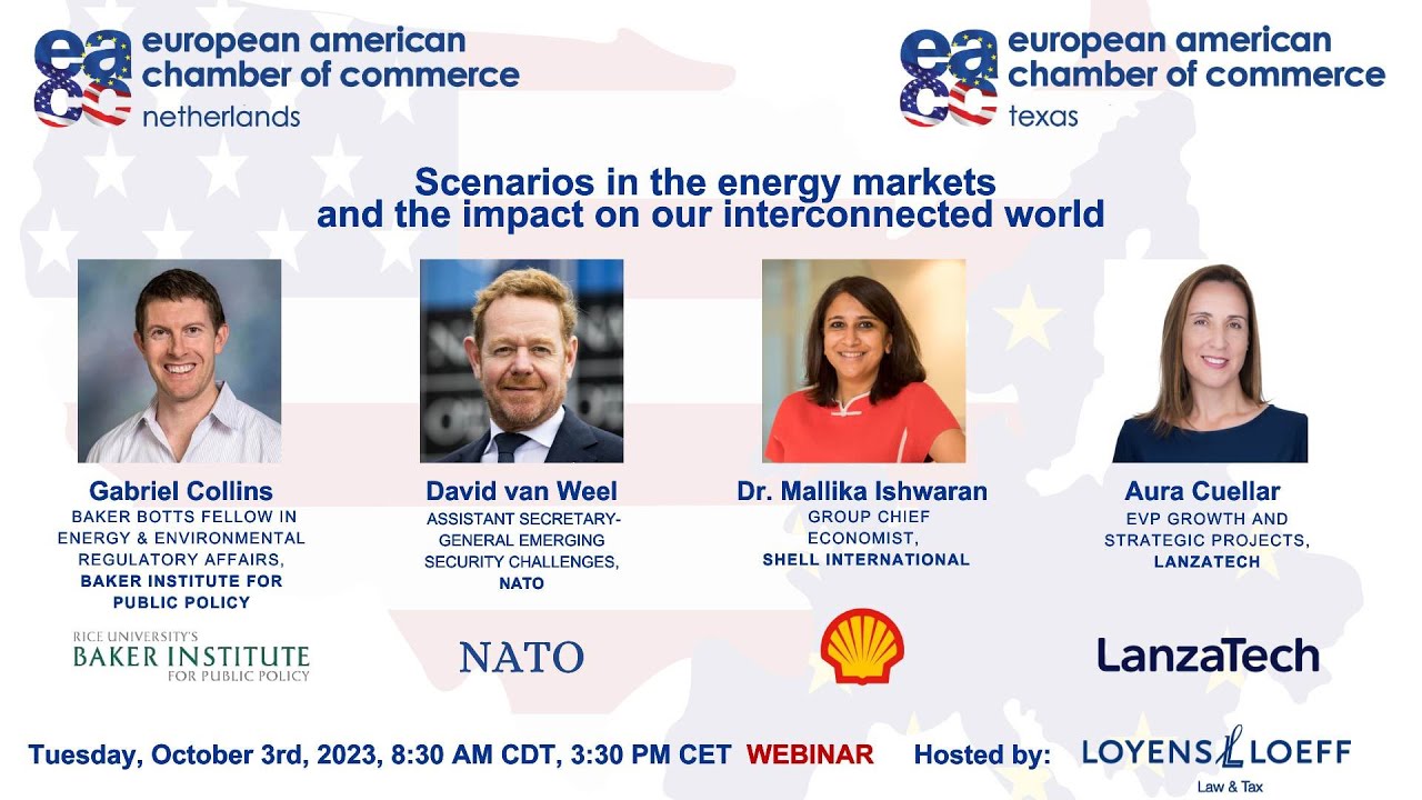 Scenarios in the energy markets and the impact on our interconnected ...