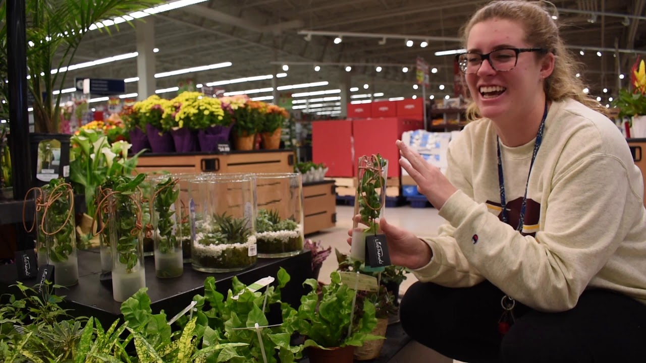 Keeping The Plants Alive - YouTube