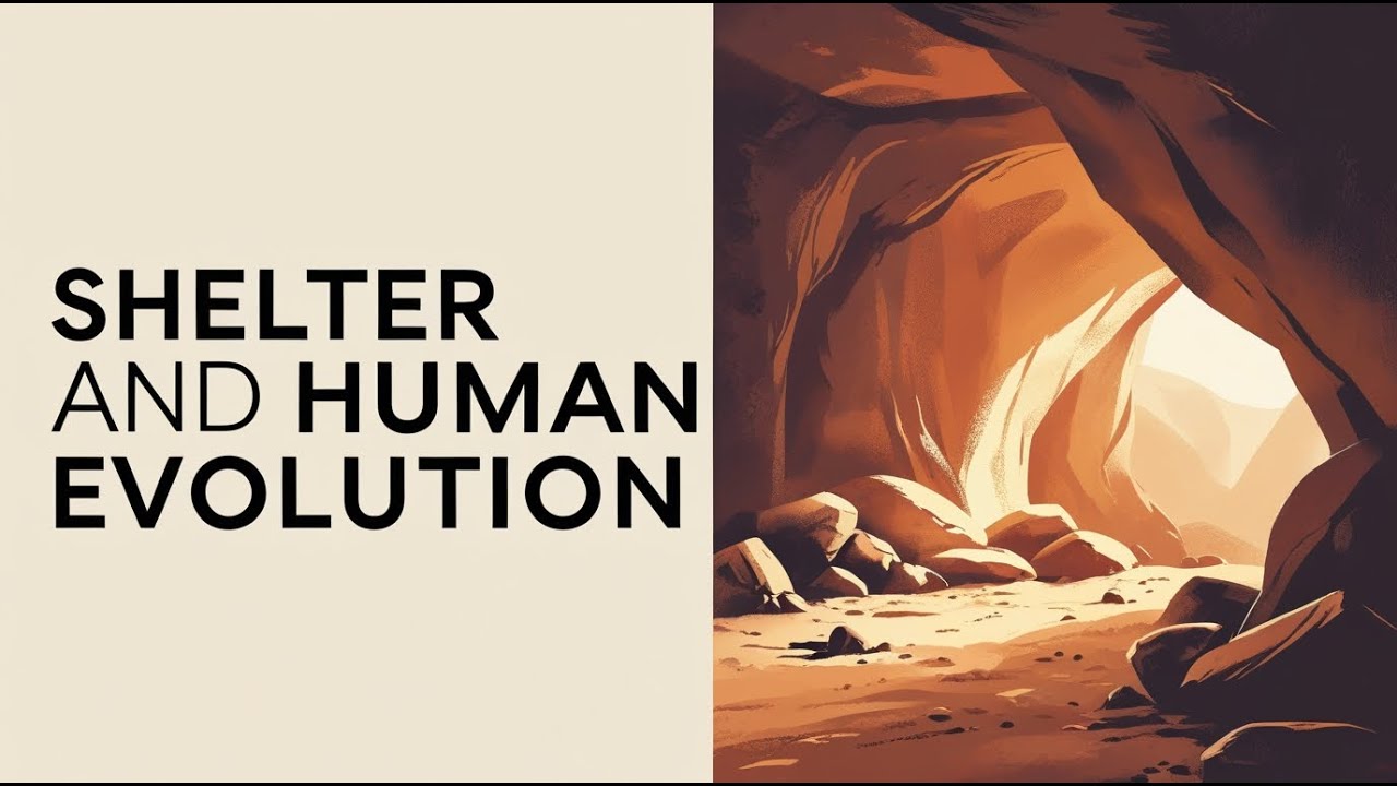 How Shelter Shaped Human Evolution: A Deep Dive into Architecture ...