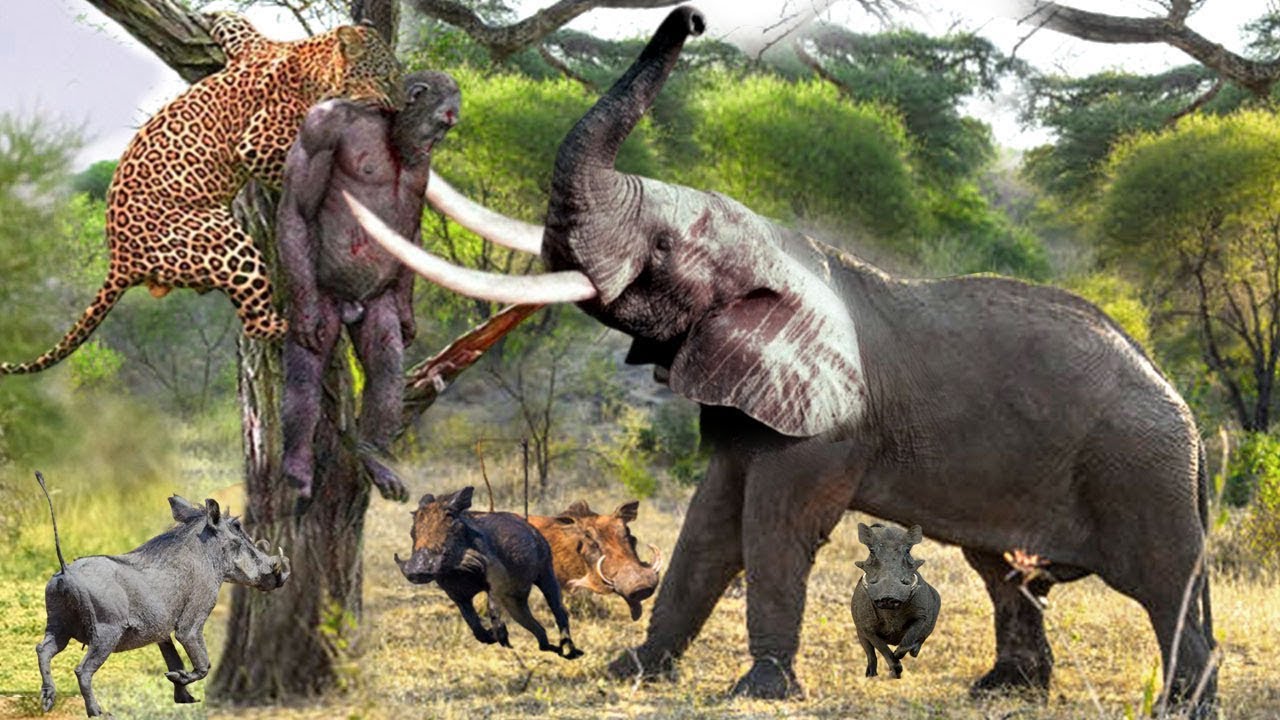OMG! Brave Elephant Rescues The Poor Prey From The Vicious Hungry ...