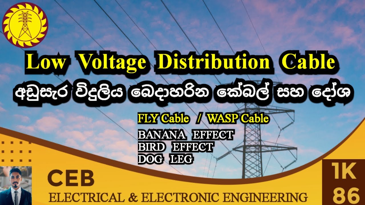 Low voltage distribution cable | Overhead lines for Low voltage - YouTube