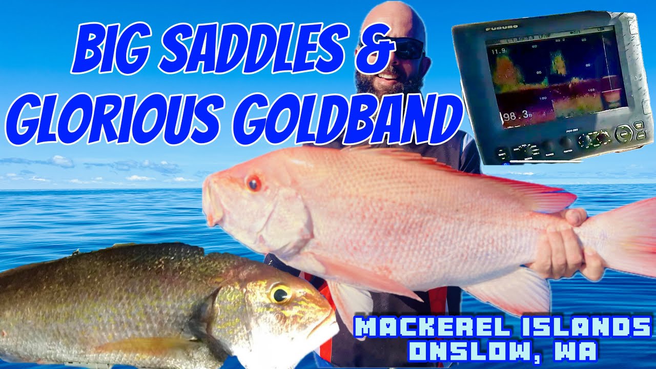 Part 2: Big Saddles & Glorious Goldband Snapper. Mackerel Islands ...