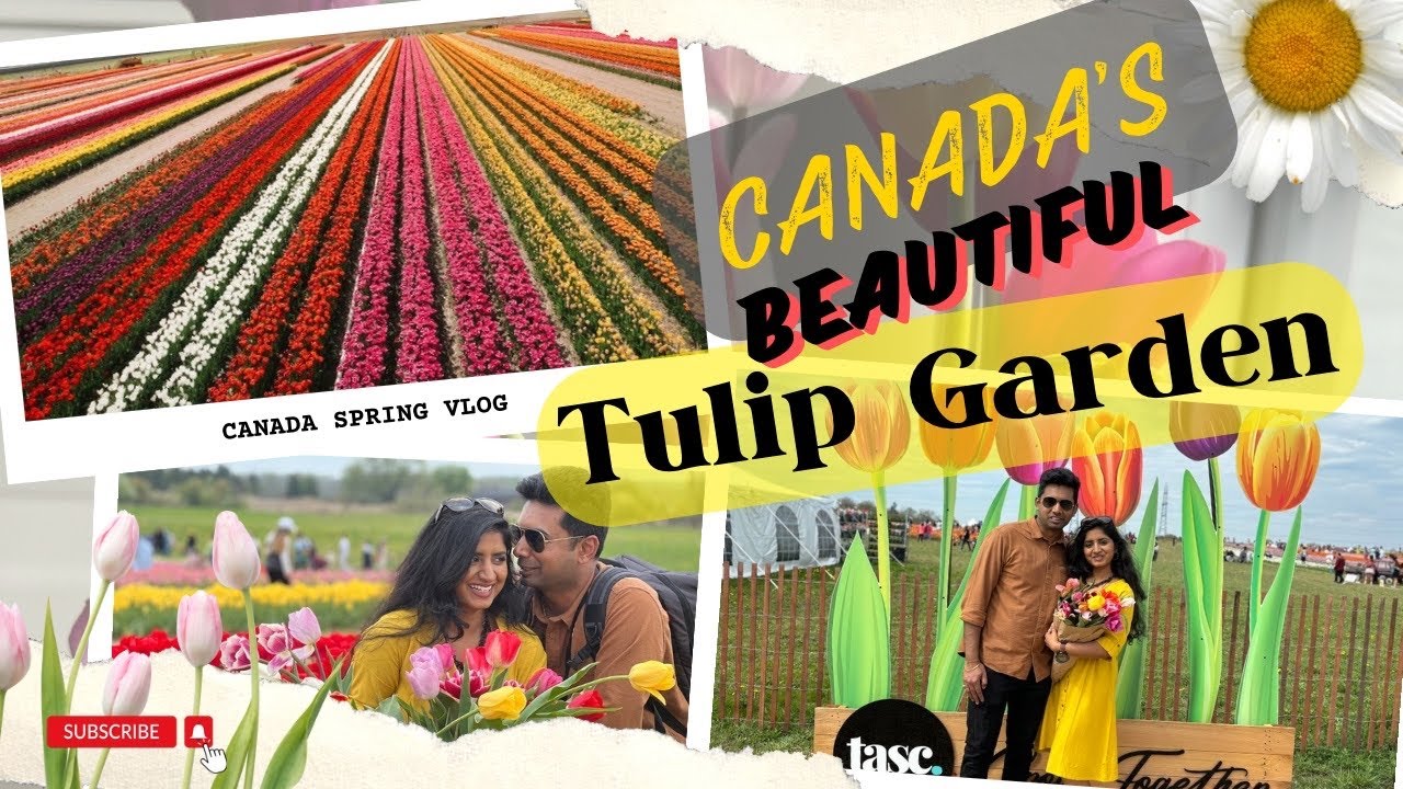 Canada's Breathtaking Tulip Festival🌷| Tamil Vlog from Toronto | A day ...