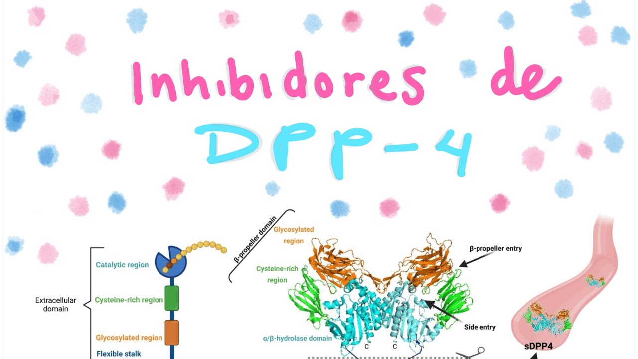 Farmacología: Inhibidores de DPP-4 - YouTube