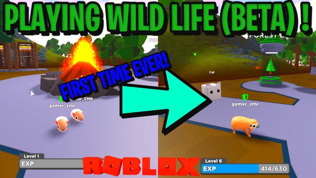 PLAYING ROBLOX WILD LIFE (BETA) FOR THE FIRST TIME! - YouTube