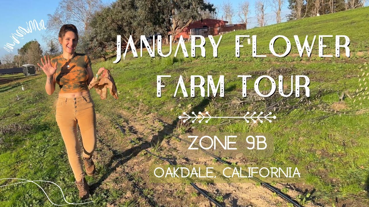 California Flower Farm Tour January #Zone9bcutflowers - YouTube