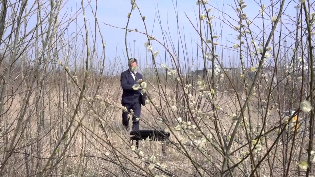 Troels Hammer - Echoes of Childhood (Official Video) - YouTube