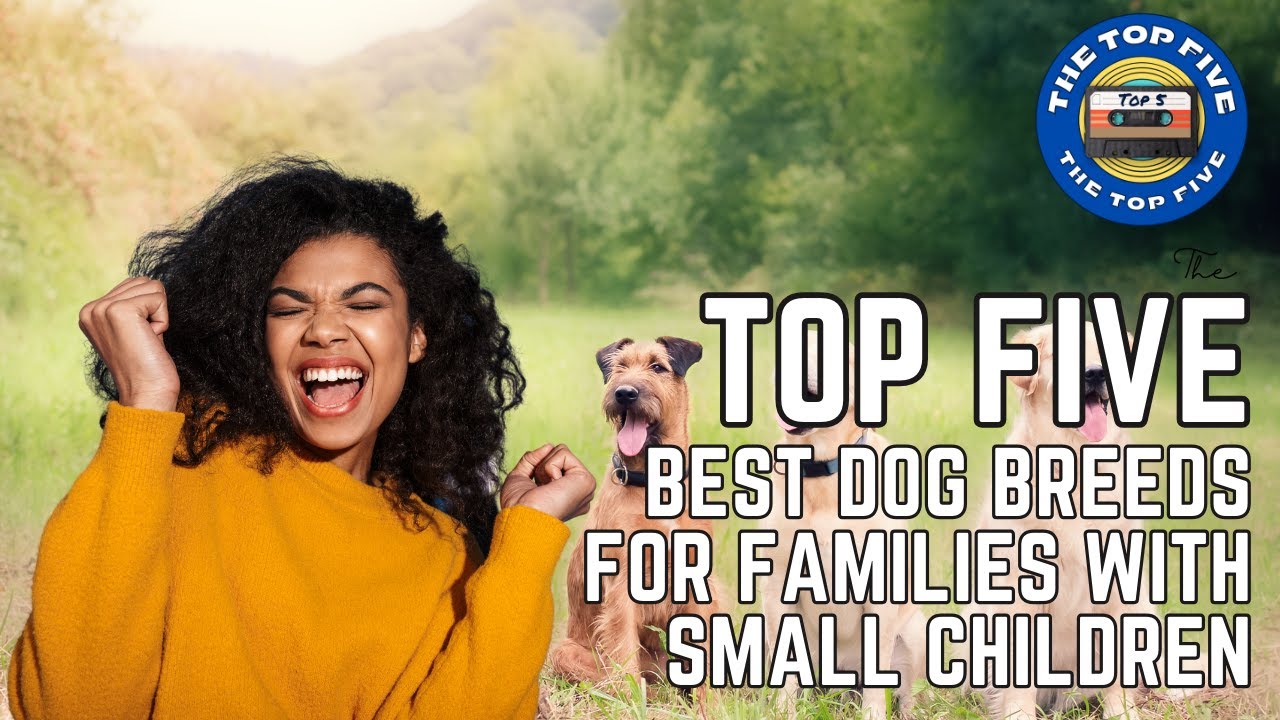 Top 5 Best Dogs For Families