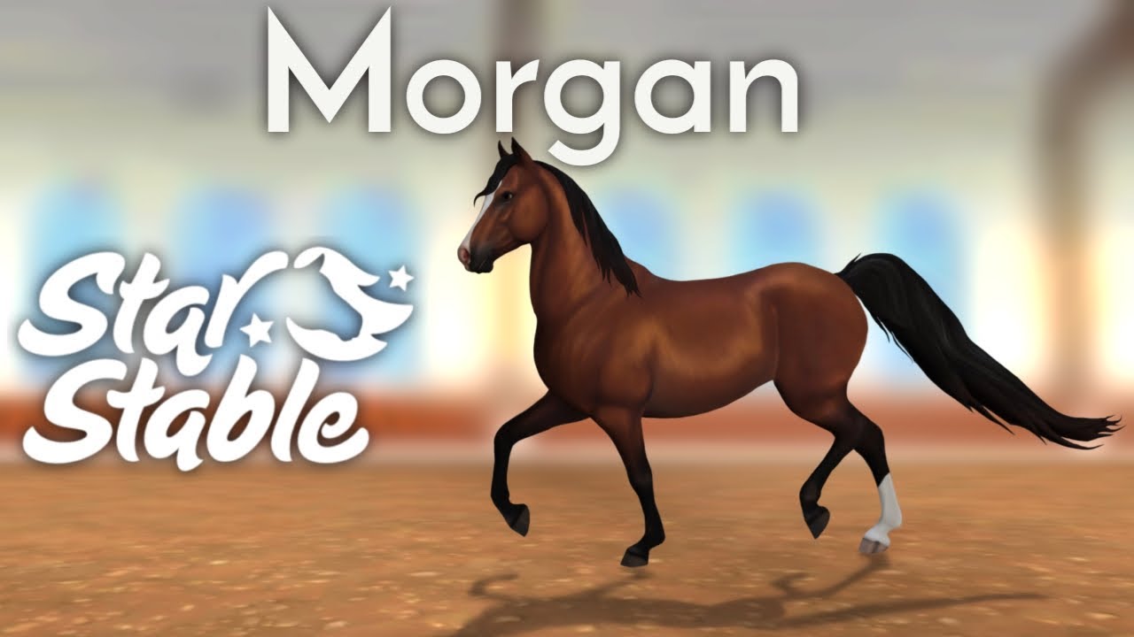[SSO] Nuovi Morgan -SPOILER- - YouTube