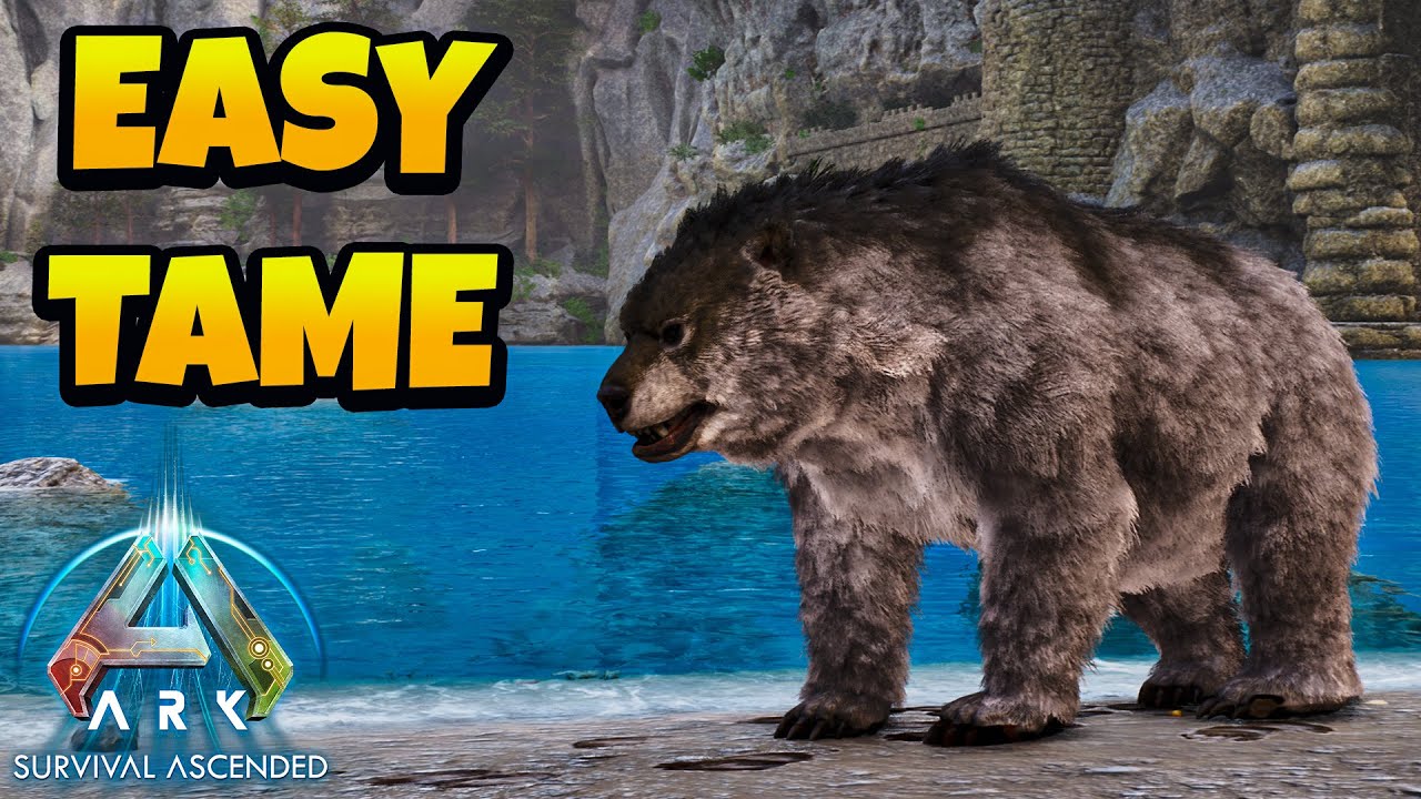 How to Tame Dire Bear in Ark Survival Ascended - YouTube
