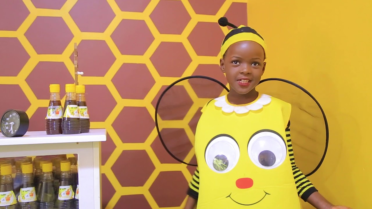 Burrow Bees Talk - YouTube