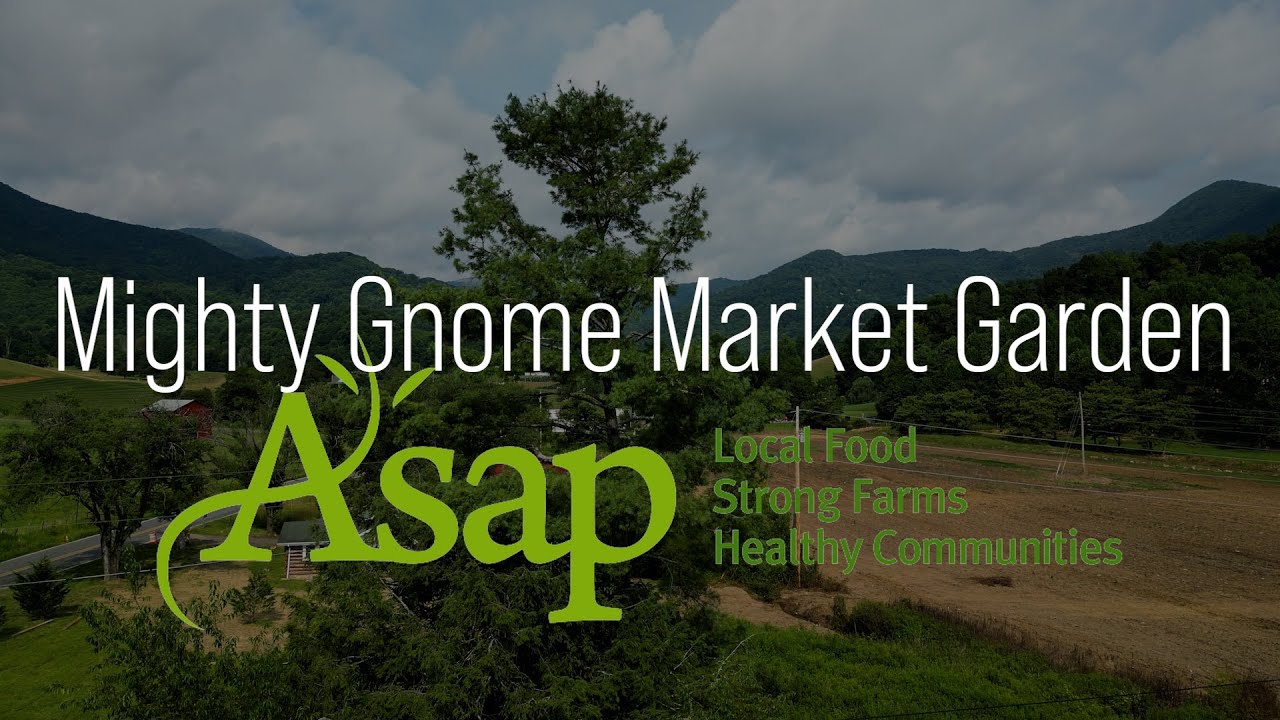 Meet Your Farmer: Mighty Gnome Market Garden - YouTube