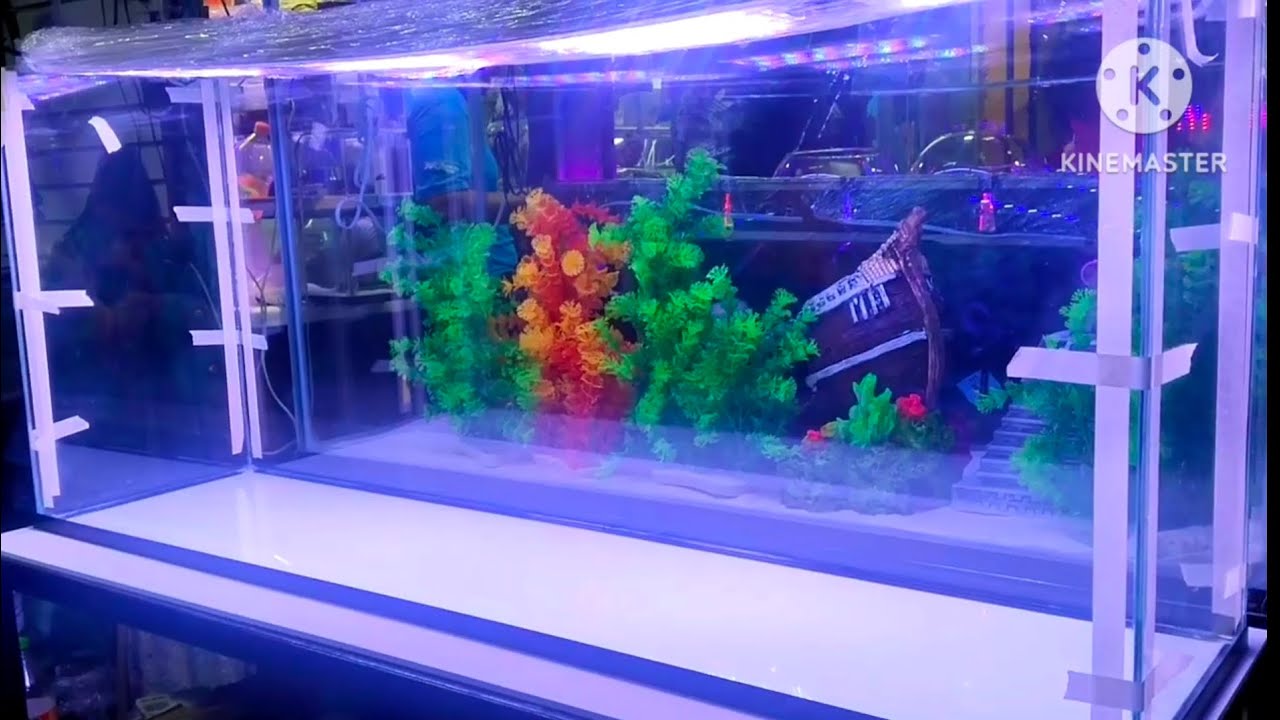 Increíble como hacer peceras Fábrica de peceras Como hacer peceras ...