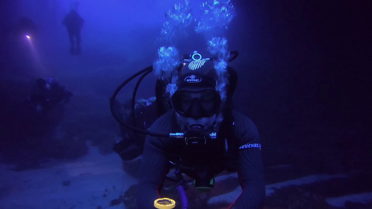 Gozo Diving 2019 - YouTube