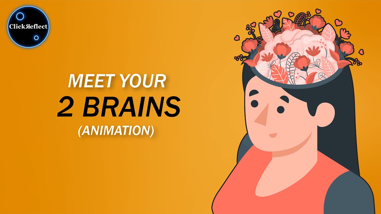 Thinking Brain & the Feeling Brain: Psychology of the Mind Explained ...