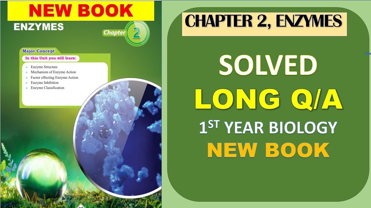 1st year Bio | Chapter 2 | Enzymes | Long Q/A | Solved - YouTube