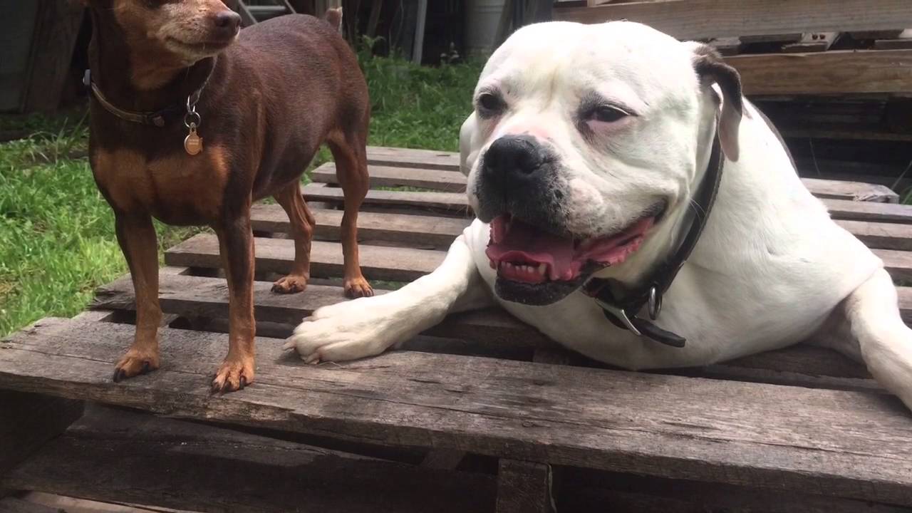 Spring Break: Farm Ops - Day 2 - YouTube