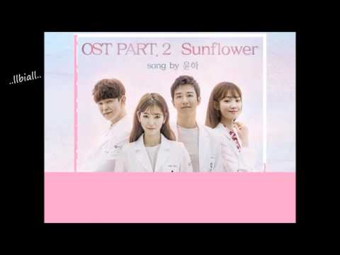 (Doctors OST Part 2) Youn Ha - Sunflower Türkçe Altyazılı (Han/Rom)