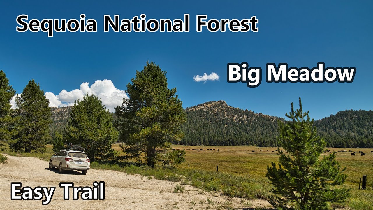 Exploring The Sequoia National Forest. - YouTube