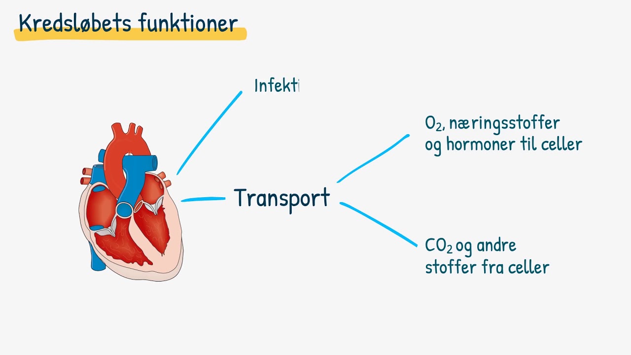 Introduktion til kredsløbet - YouTube