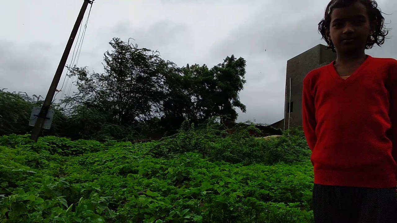 Niphad karwa tower flood in 2019 - YouTube
