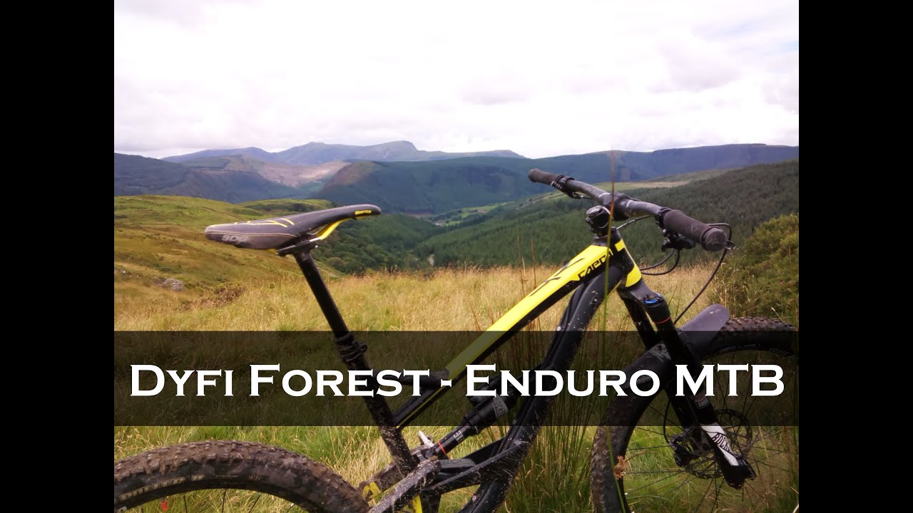 Dyfi Forest - MTB Enduro Trails & Climachx Final Descent - 2016 - YouTube