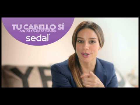 SEDAL - MODELO [ ATL ] - YouTube