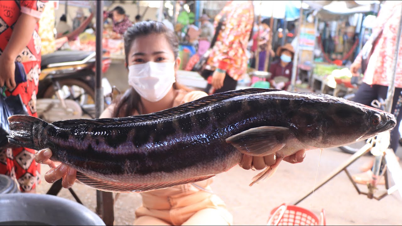 How to prepare snakehead fish by fish seller / Buy big snakehead fish ...