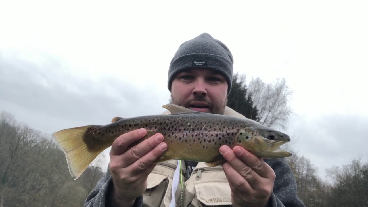 Fishing For Brown Trout - Spring Hill Trout Fishery (Part 2) - YouTube