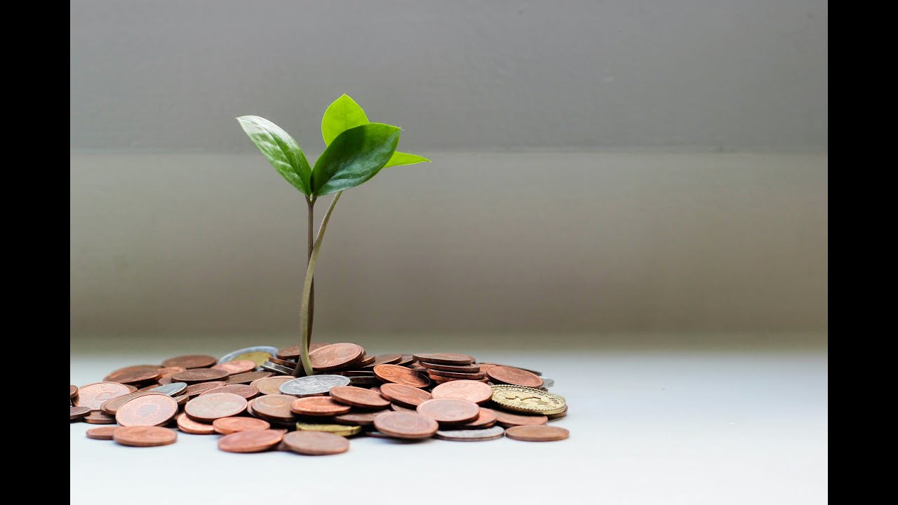 FRNT Financial CEO Stéphane Ouellette discusses the company’s expertise ...