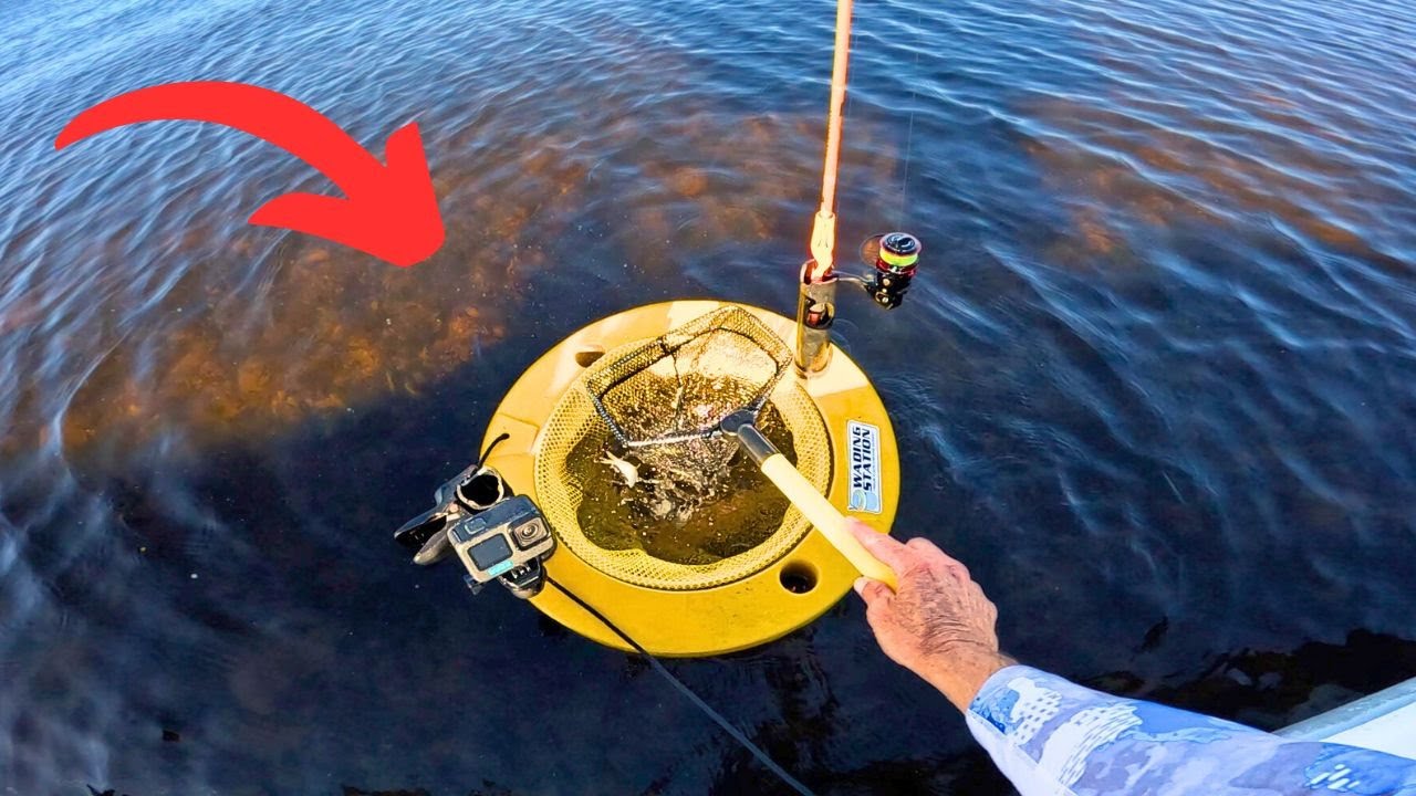 This Wading Station makes Live Bait Fishing Easy - YouTube