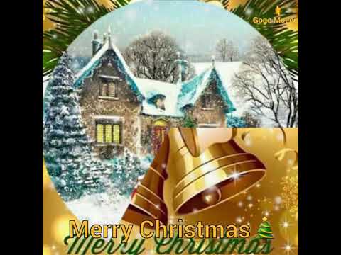 Merry Christmas and happy new year
