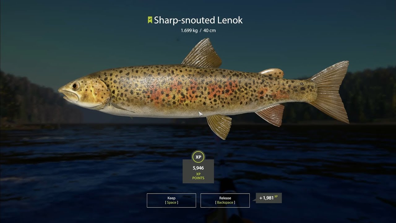 Russian Fishing 4 Lower Tunguska River Arctic Grayling/Brown Trout ...