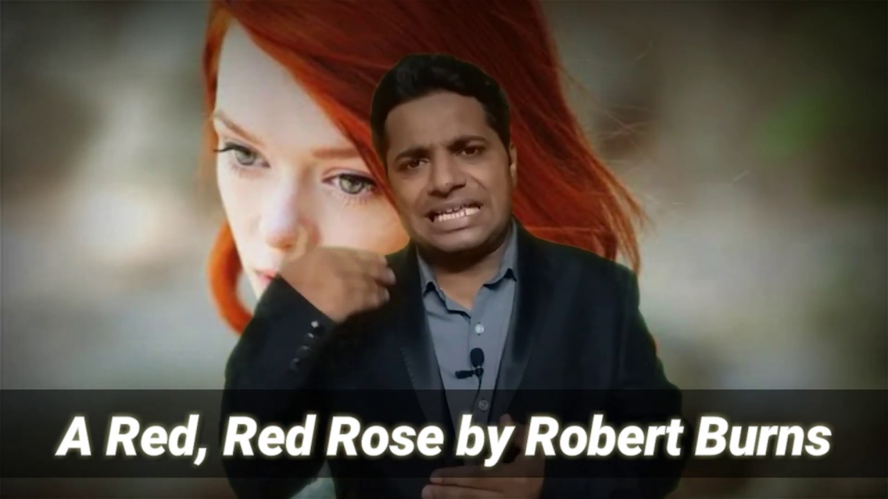 A Red, Red Rose by Robert Burns - YouTube