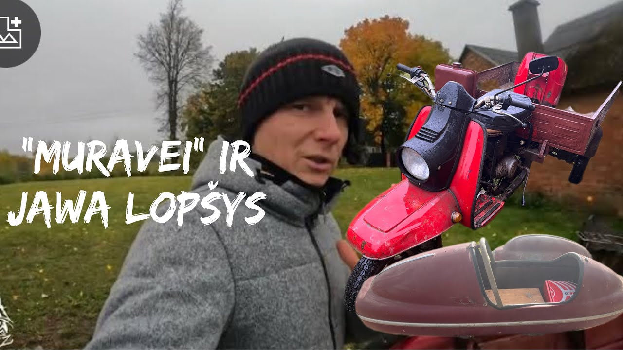 Jawos lopšelis I | Muravei | 2023 10 23 - YouTube